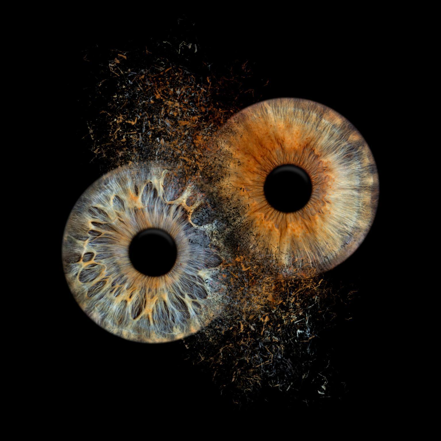 » Irisfotografie Hannover PS-ART – Fotograf Hannover